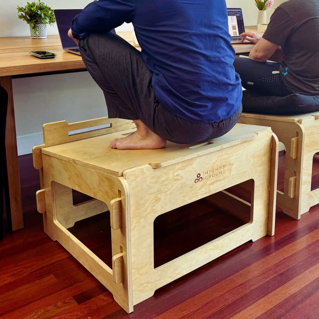 Large Size Higher Ground Active Sitting Platform Chair - Without Cushi ...